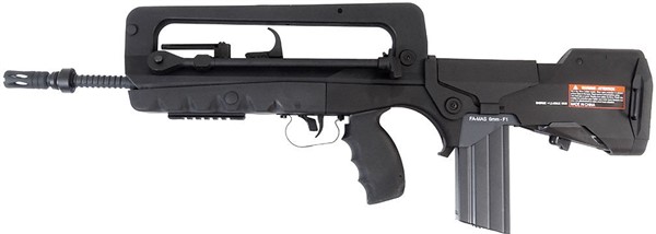 In-Namra. FAMAS F1